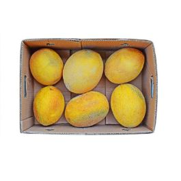 SWEET MELON MIDDLE EAST 11KG Online | Waynik By Safco